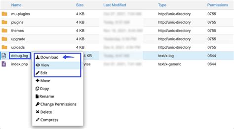 How To Find And Access Wordpress Error Logs 2024