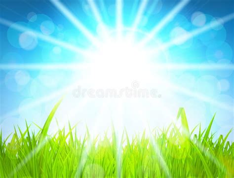 Summer Abstract Background With Grass Vector Stock Vector