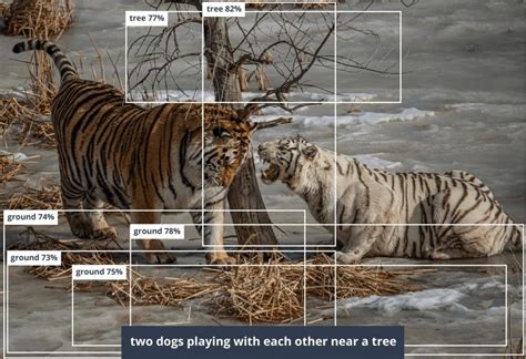 image captioning and tagging using deep learning models