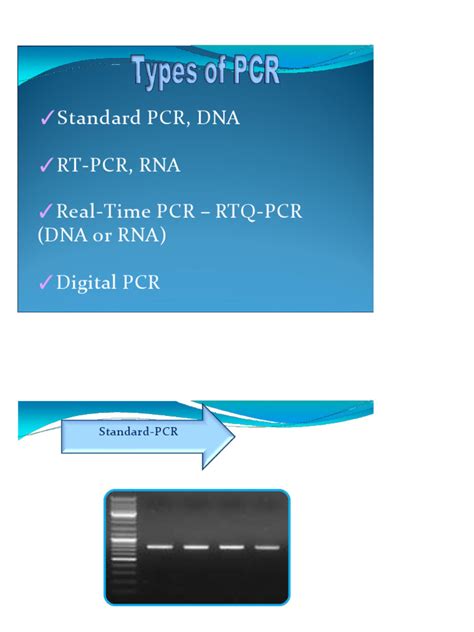 Tipos De Pcr Pdf Polymerase Chain Reaction Dna Sequencing