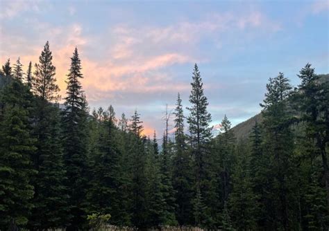 Why Do People Like Hiking 15 Great Reasons The Hiking Helper