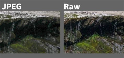 【カメラ初心者】rawとjpegの写真編集現像の違い徹底比較 Mappy Photo Edit
