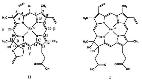 Metmyoglobin Alchetron The Free Social Encyclopedia