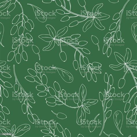 원활한 패턴 매 발톱 나무 손으로 그려진된 분기 벡터 스케치에 고립 된 녹색 배경 흰색 라인 아트 베리 자연 매운 허브 디자인 패키지 차 화장품 의학에 대 한 재료 요리