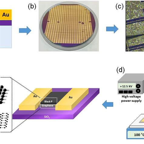 Sequence Of Sensor Fabrication Process Of Humidity Sensor Using