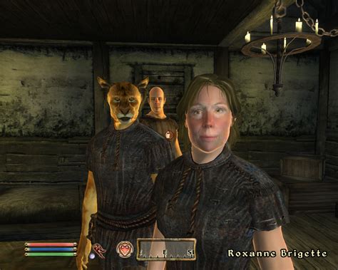 My Oblivion Screenshots Oblivion Elder Scrolls Iv Photo 43369641