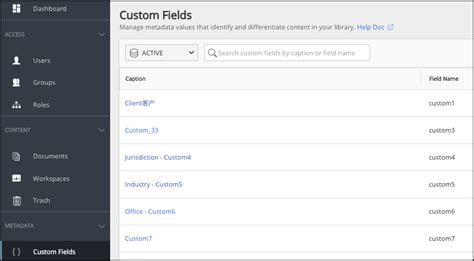 Custom Fields