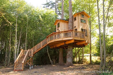 Orcas Island Treehouse Timelapse And Video Journal Nelson Treehouse