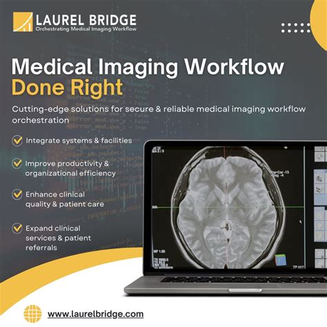 Medicalimaging Laurel Bridge Software Inc