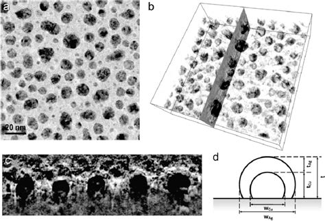 A Bright Field Micrograph Of The Sample With Cuag Nanoparticles B