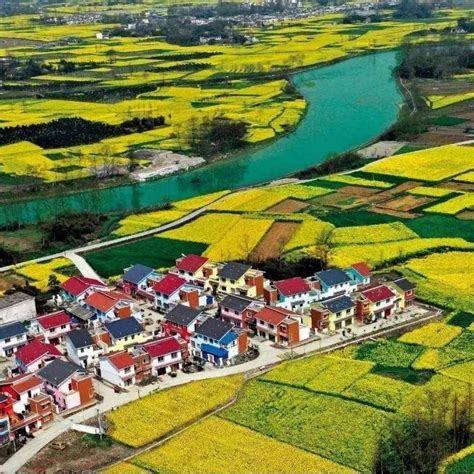 乡村振兴背景下，如何当好村党支部书记农村群众发展