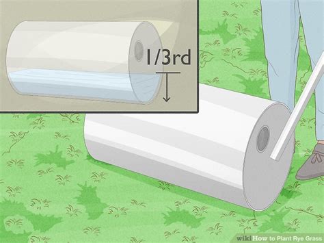 4 Ways To Plant Rye Grass Wikihow