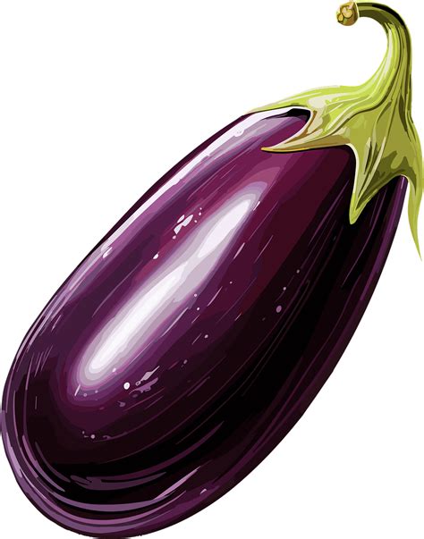 Single Brinjal Images