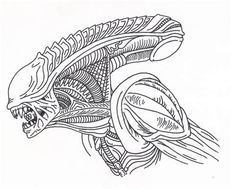 Xenomorph Sketch