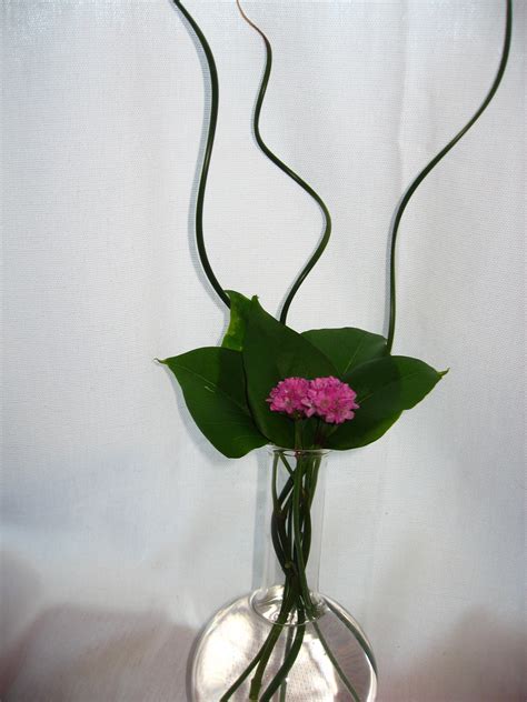 Crazy Grass Whyintheword