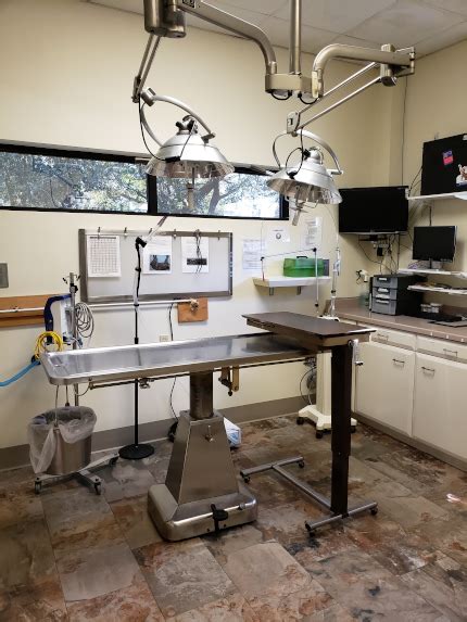 Milton Animal Hospital