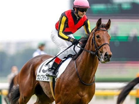 【クイーンc予想】近2年は新馬戦からの参戦が優勢！ 素質問われる一戦も脚質には注意が必要か 競馬ニュース Netkeiba