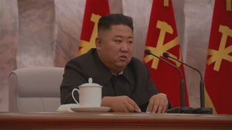 消息指金正恩接種中國研製新冠疫苗 有專家質疑 Now 新聞