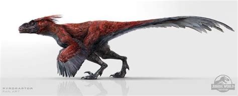 Pyroraptor Jurassic World Jurassic Park