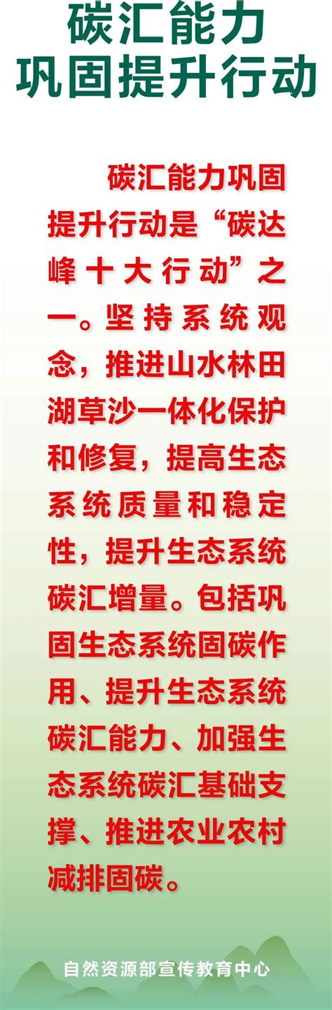 每日一词 碳汇能力巩固提升行动 澎湃号政务 澎湃新闻 The Paper