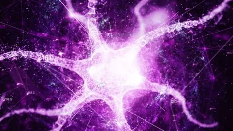 Neural Network Artificial Intelligence Stock Video Pond