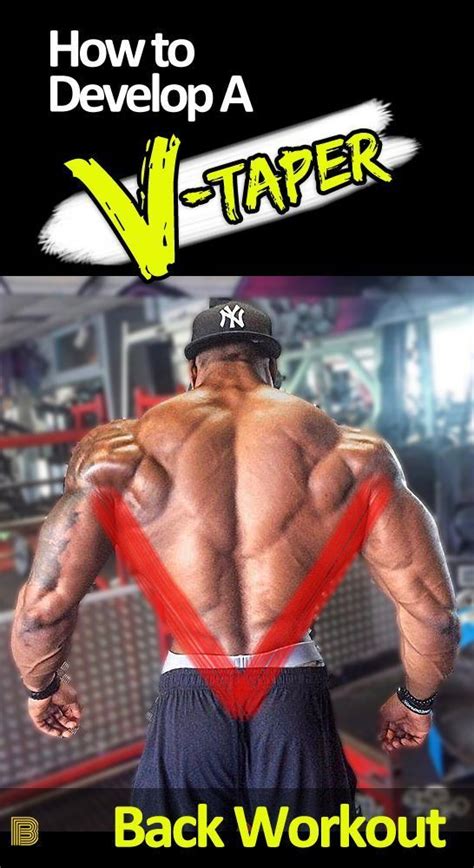 How To Develop A V Taper Artofit