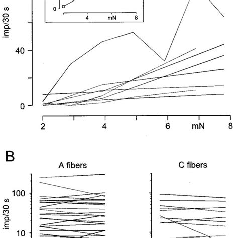 Typical Phasic Responses Of A Single Axotomized Myelinated Nerve Fiber
