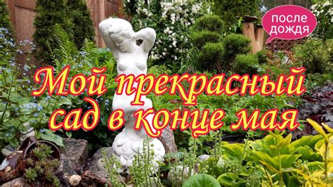 Мой прекрасный сад в конце мая.Мой любимый сад.Моя дача.Сад ...