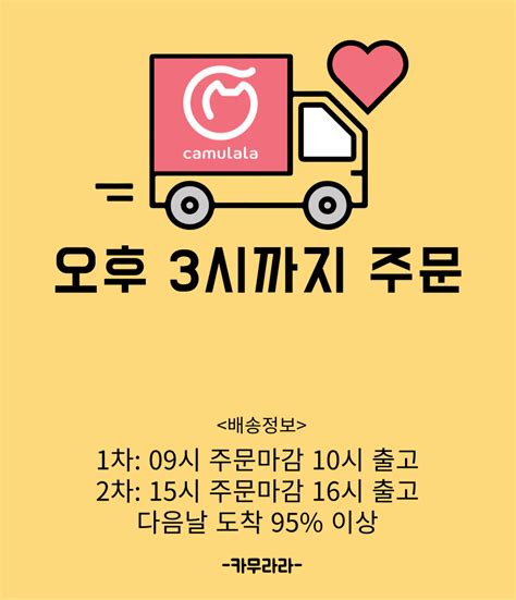 고양이 위생·배변 모래다모아 고양이 화장실 모래 매트 오늘의집 쇼핑