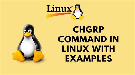 Linux Command Line Basics Tutorials Chgrp Command In Linux With Examples Youtube