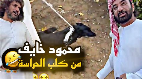 محمود خايف من الكلب الحراسة 😂😂😂 Youtube