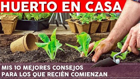 Guía completa Aprende cómo hacer un huerto en casa y disfruta de tus