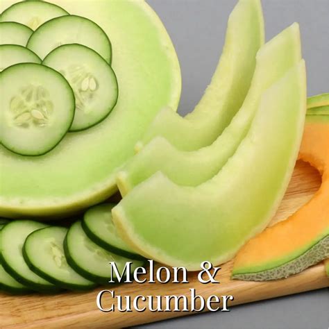 Melon And Cucumber Statement Diffuser Marsden And Whittle