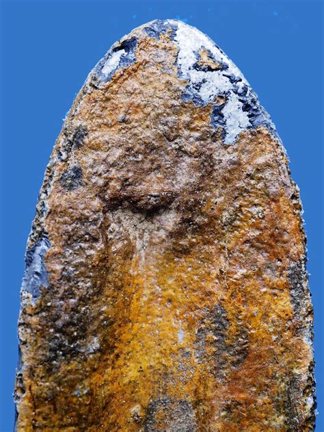 พระร่วงหลังรางปืน พิมพ์ฐานสูง เนื้อชินตะกั่วสนิมแดง กรุวัดพระศรีรัตนมหาธาตุ จ สุโขทัย Ennxo