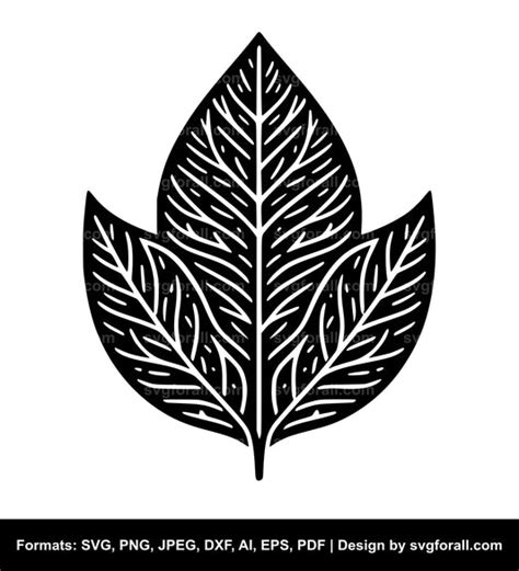 Leaf Svg