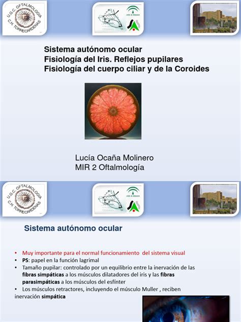 067 Fisiologia Del Iris Reflejos Pupilares Lom Pdf Sistema