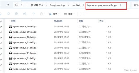 【nnunetv2实践】二、nnunetv2快速入门 训练验证推理集成一条龙教程nnunet 安装 Csdn博客