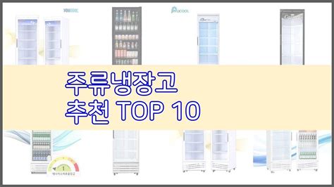 주류냉장고 추천 스마트 쇼핑 10 가격 상품평 구매량을 고려한 선택 Youtube