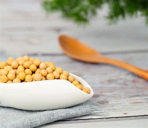 What Is Soy Peptide Wellgreen