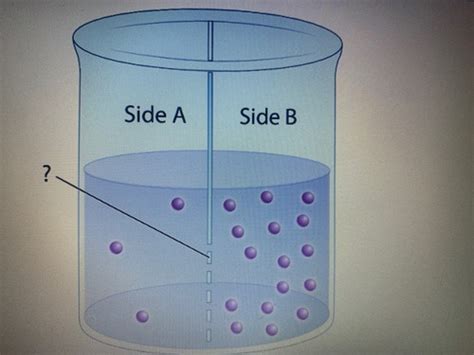 Hw Flashcards Quizlet