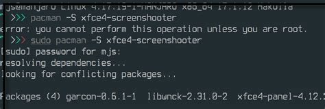 X11 Client Black Border Around Remoteapp Window That Appears On All