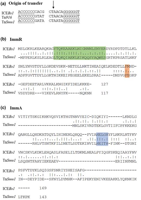 Sequence Alignment Emboss At Javier Cox Blog