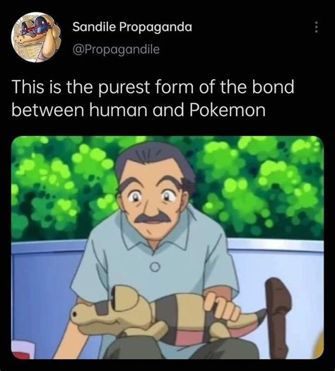 Xerneas Pokemon Know Your Meme