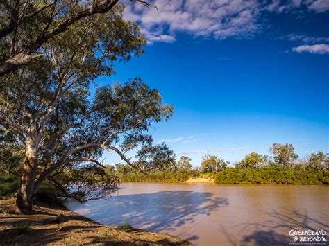 Essential Guide To Desert Red Welford National Park 2025