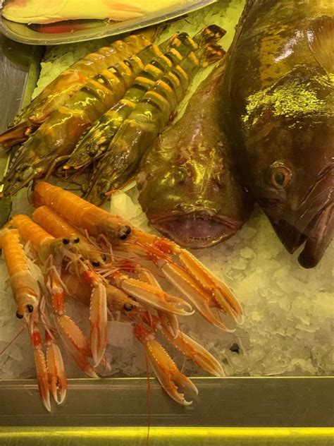Fish House - Floreasca