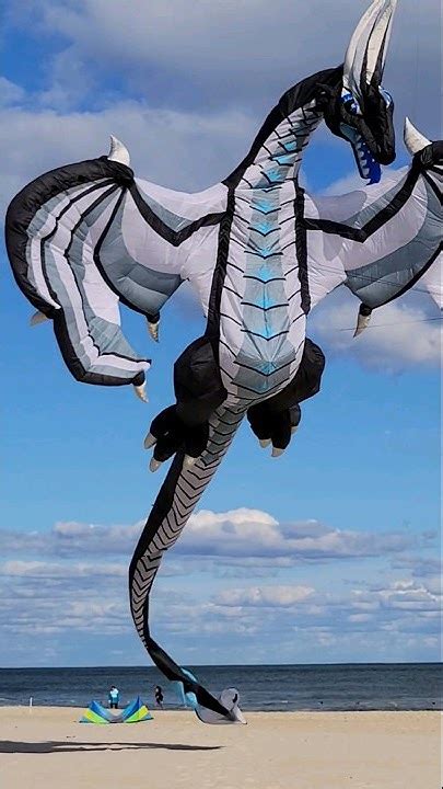 Воздушный змей на океане осень2023 кайт воздушныйзмей океан небо прогулка приключения