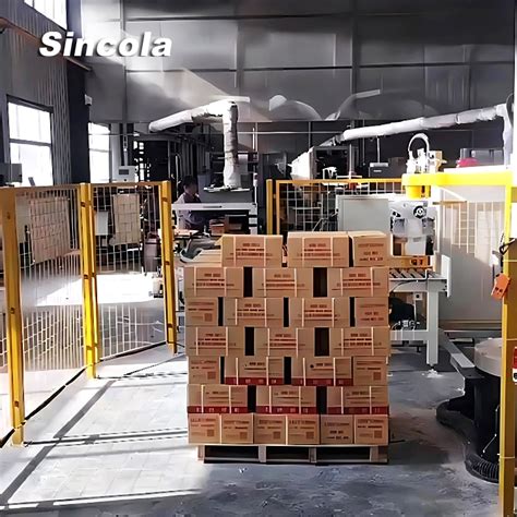 The Revolutionary Advantages Of Carton Stacking Robots Modern