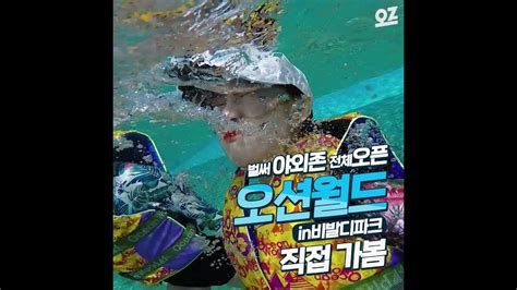 2019년 오션월드 야외존 오픈 Feat 오즈트래블 Youtube