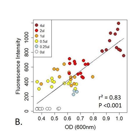 Correlation Between Fluorescence Intensity And Crude Oil Content There Download Scientific