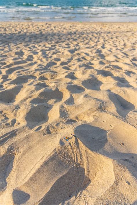 Motorista De Los Pares De Las Mu Ecas En La Playa De La Arena Foto De Archivo Imagen De Parque
